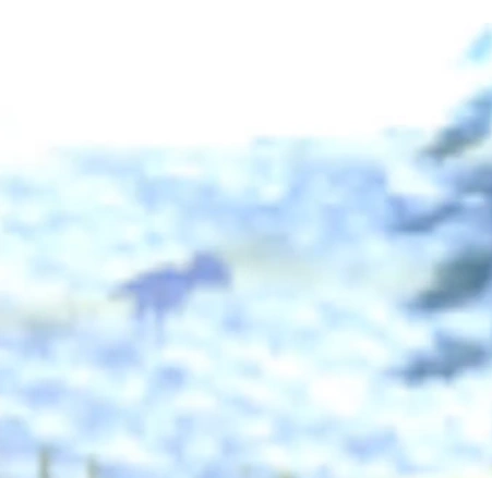 The Strange Friends | Dinosaur World Mobile Creepypasta Wiki | Fandom