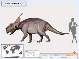 Achelousaurus | Dinosaur world mobile fan Wiki | Fandom