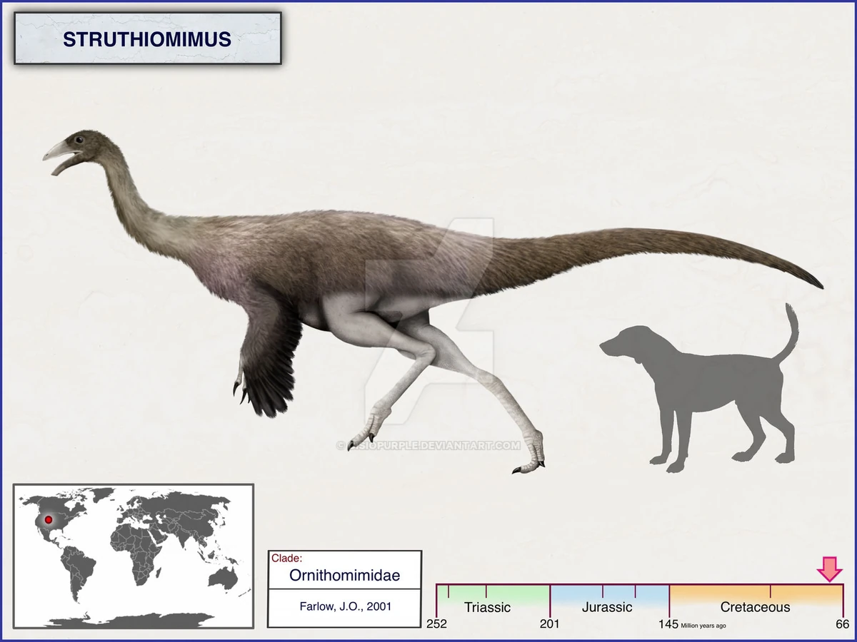 Struthiomimus | Dinosaur world mobile fan Wiki | Fandom