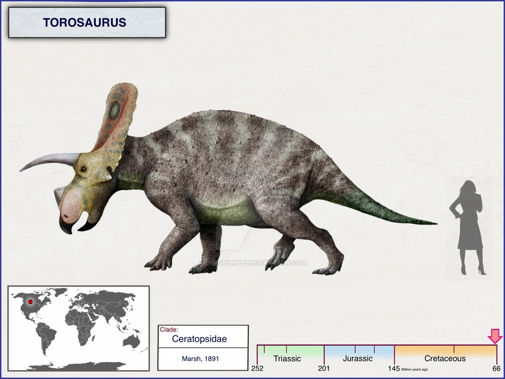 Torosaurus | Dinosaur world mobile fan Wiki | Fandom