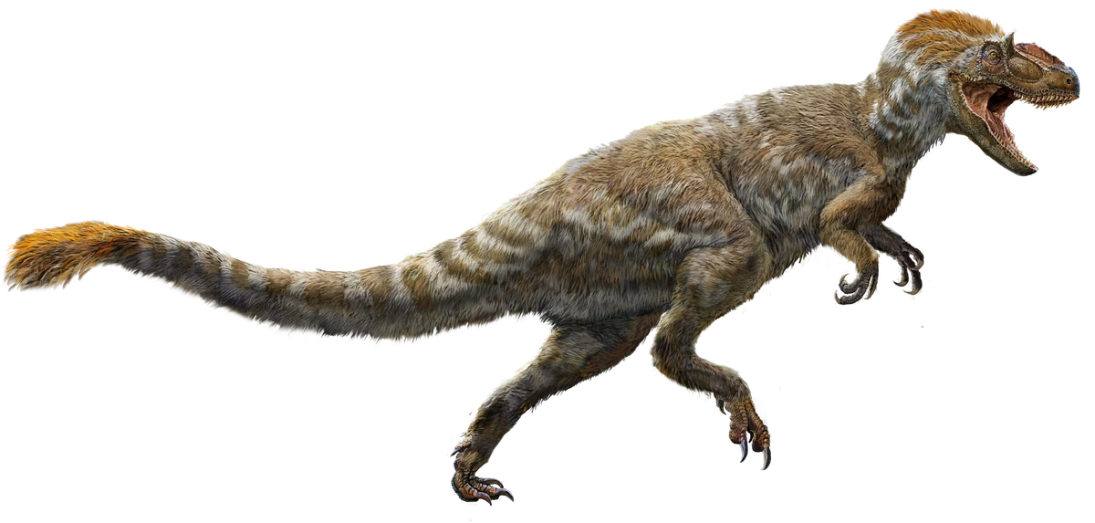 Yutyrannus | Dinosaur world mobile fan Wiki | Fandom