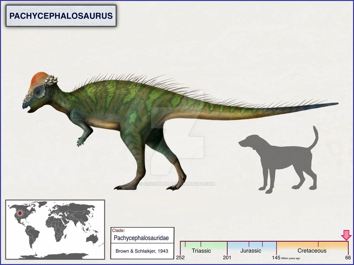Pachycephalosaurus | Dinosaur world mobile fan Wiki | Fandom
