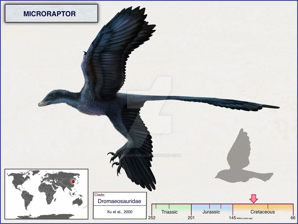 Microraptor | Dinosaur world mobile fan Wiki | Fandom