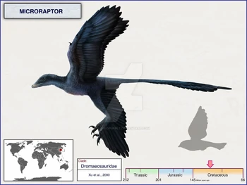 Microraptor | Dinosaur world mobile fan Wiki | Fandom
