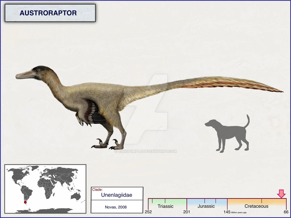 Austroraptor | Dinosaur world mobile fan Wiki | Fandom
