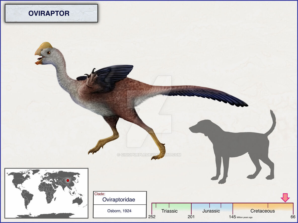 Oviraptor Dinosaur World Mobile Fan Wiki Fandom