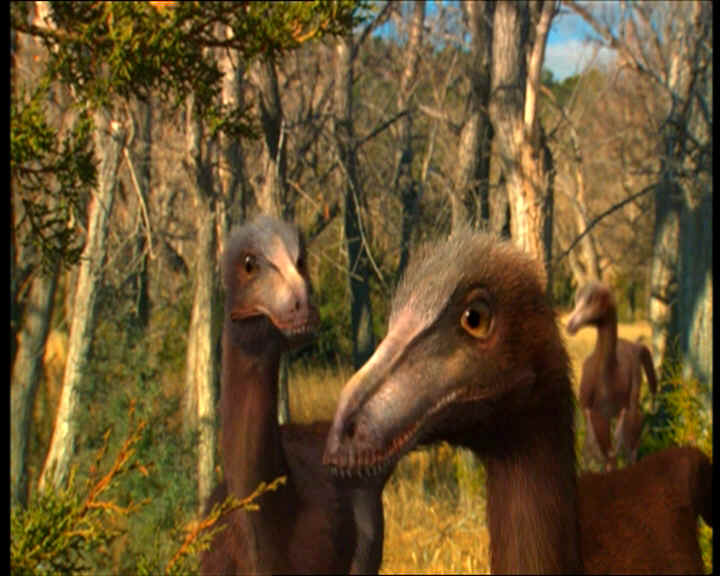 Troodon Dinosaur World Wikia Fandom