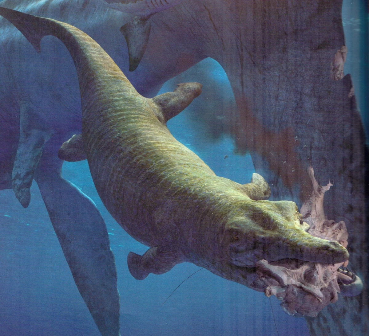 Metriorhynchus | Dinosaur World Wikia | Fandom