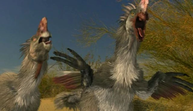 Oviraptor | Dinosaur World Wikia | Fandom