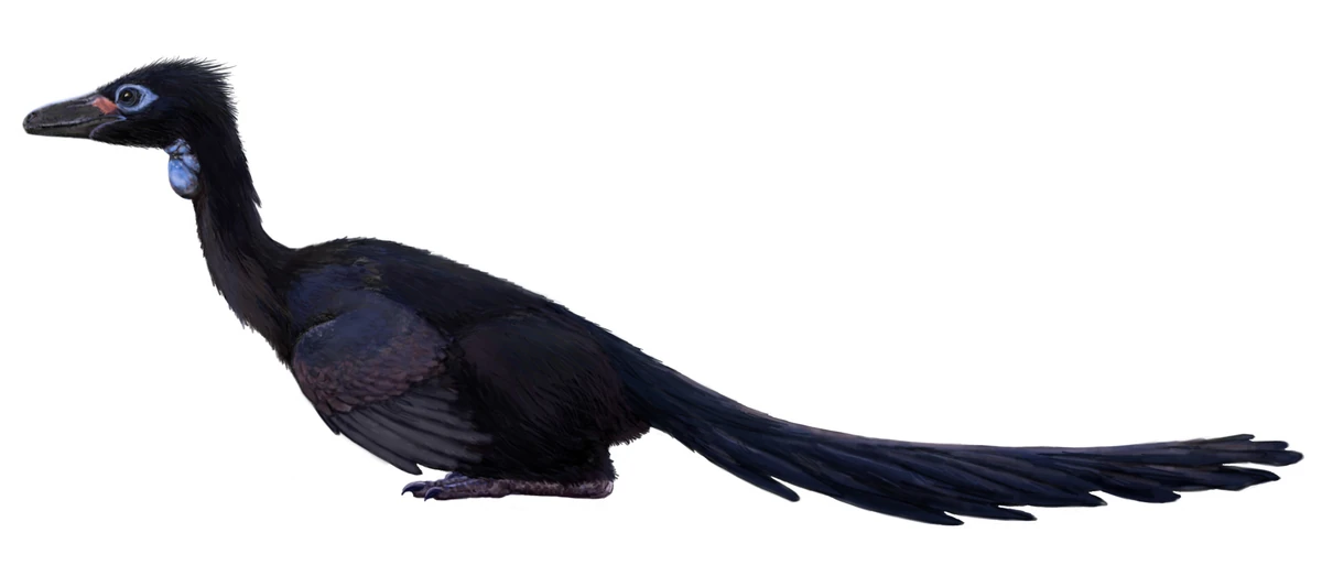 Xixiasaurus | Dinosaurier Wiki | Fandom