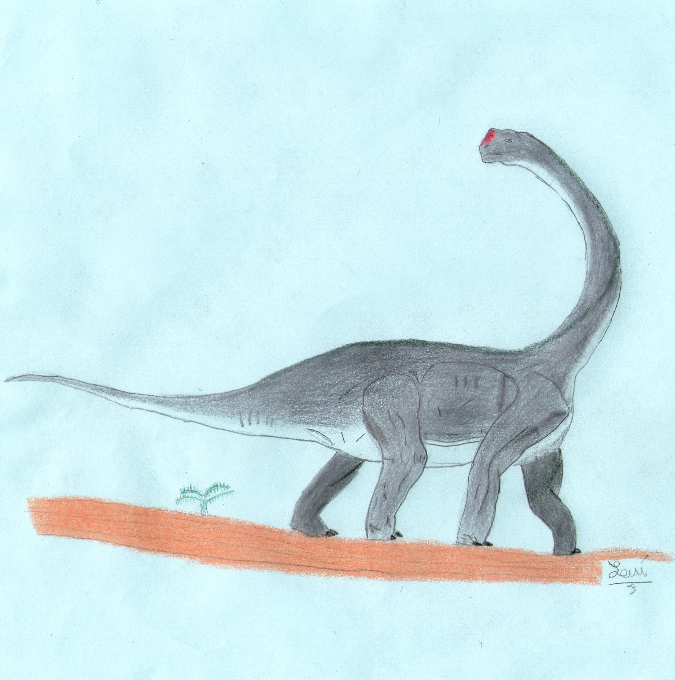 Abrosaurus