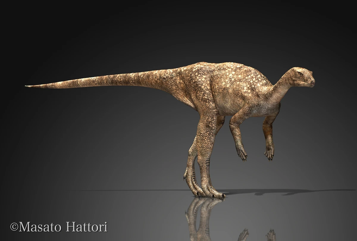 Agilisaurus | Dinosaur Alive Wiki | Fandom