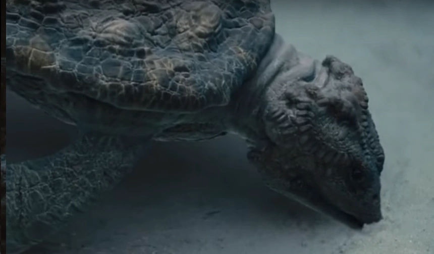 Placochelys | Dinosaur Alive Wiki | Fandom