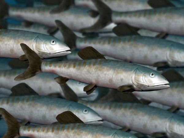 Leptolepis | Dinosaur Alive Wiki | Fandom