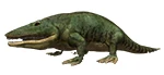 Eryops | Dinosaur Alive Wiki | Fandom