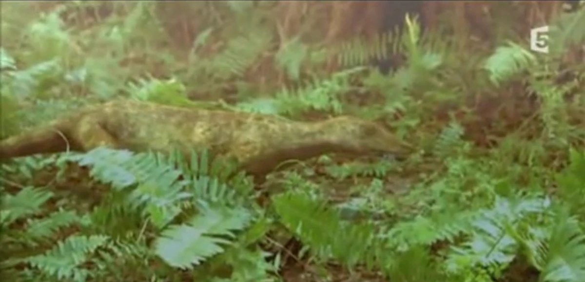 Procynosuchus | Dinosaur Alive Wiki | Fandom