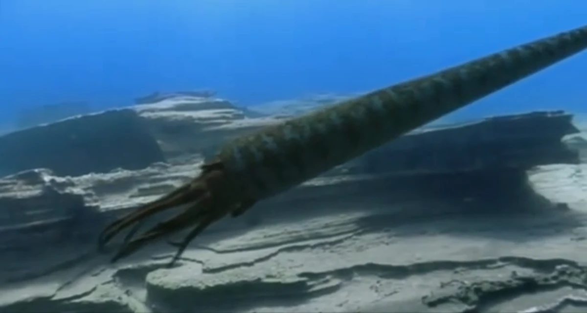 Cameroceras | Dinosaur Alive Wiki | Fandom