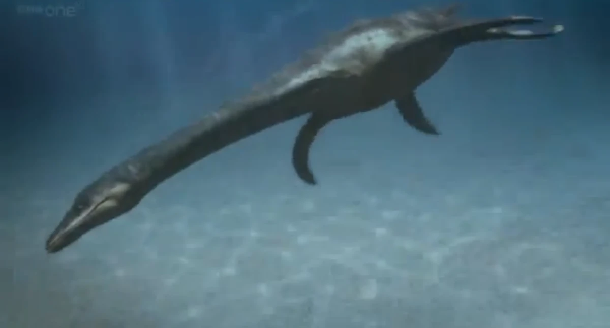 Kimmerosaurus | Dinosaur Alive Wiki | Fandom