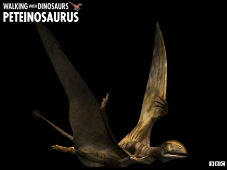 Peteinosaurus | Dinosaur Alive Wiki | Fandom