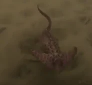 Diplocaulus | Dinosaur Alive Wiki | Fandom