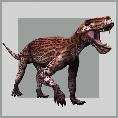 Lycaenops ornatus | Dinosaur Alive Wiki | Fandom