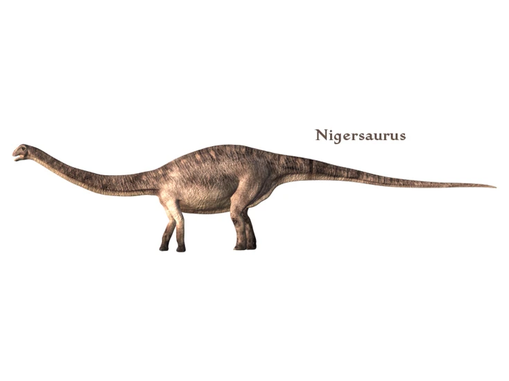 Nigersaurus | Dinosaur Alive Wiki | Fandom