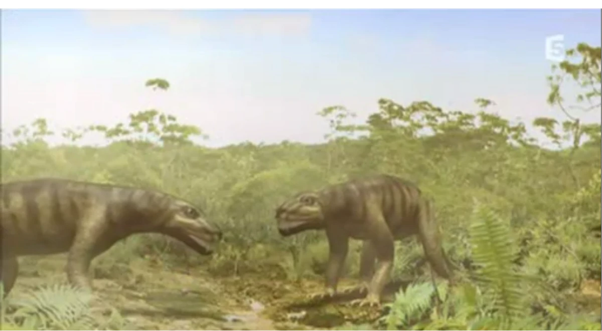 Eoarctops | Dinosaur Alive Wiki | Fandom