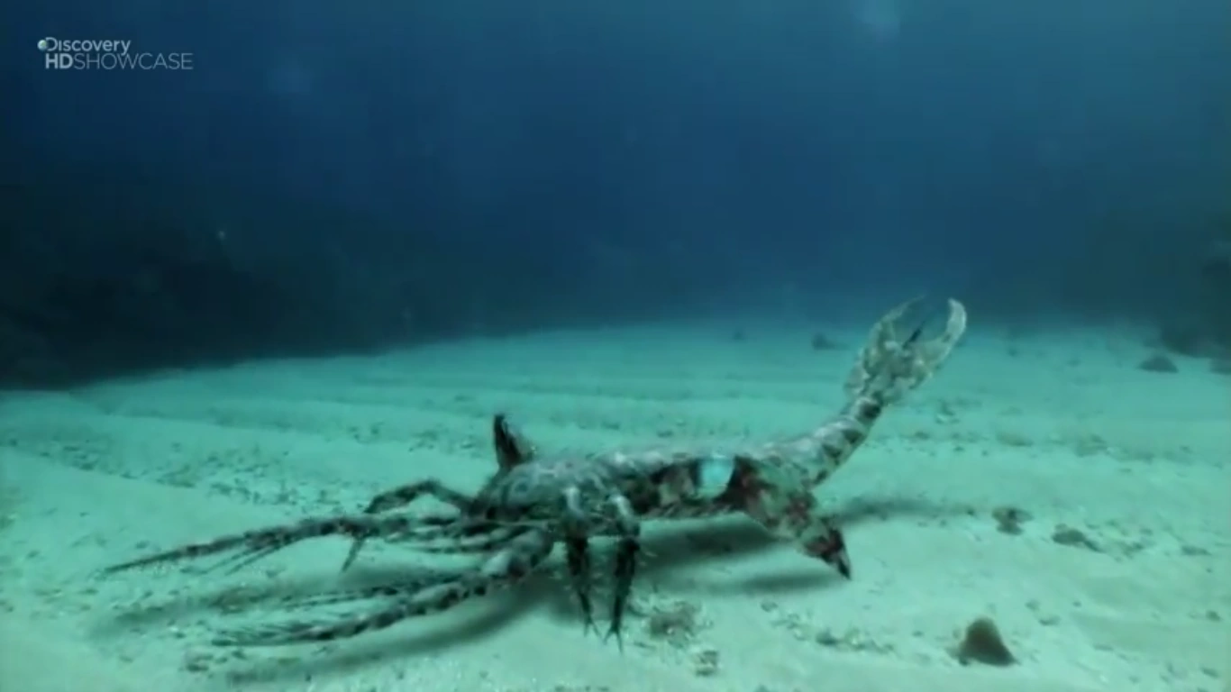 Eurypterus | Dinosaur Alive Wiki | Fandom