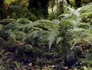 Tritylodon | Dinosaur Alive Wiki | Fandom