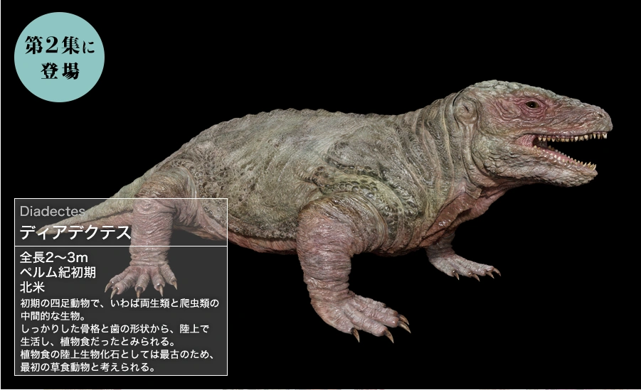 Diadectes | Dinosaur Alive Wiki | Fandom