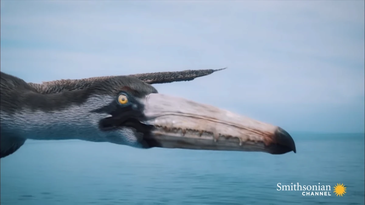 Pelagornis | Dinosaur Alive Wiki | Fandom