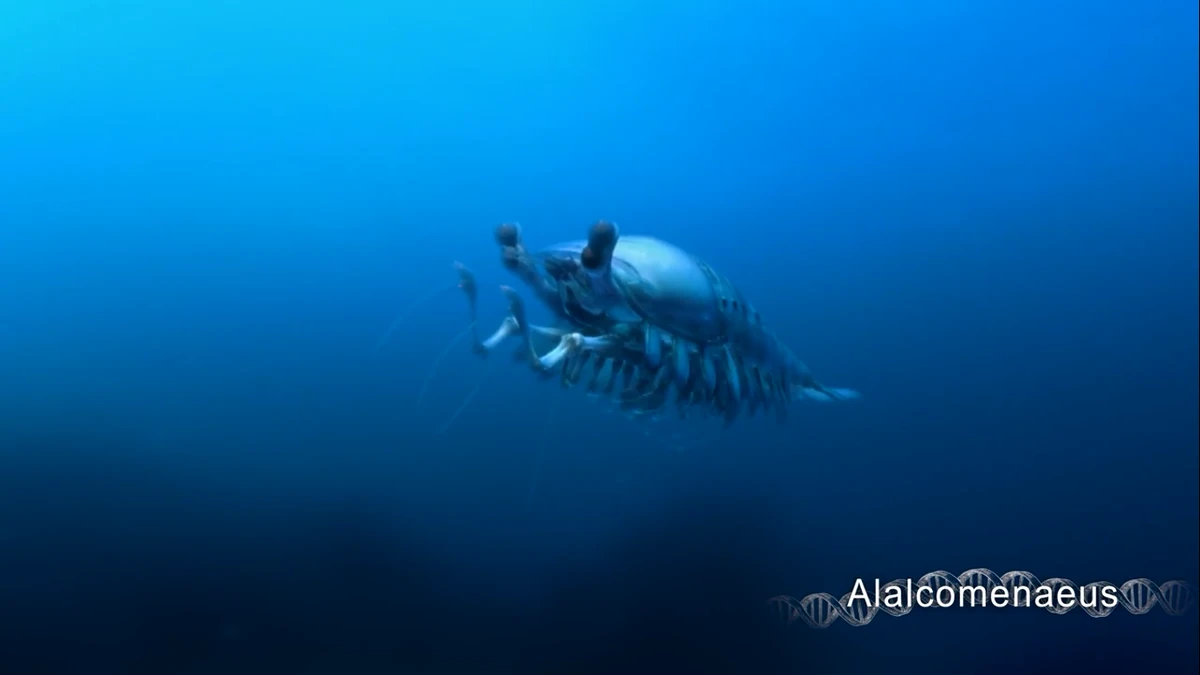Alalcomenaeus | Dinosaur Alive Wiki | Fandom