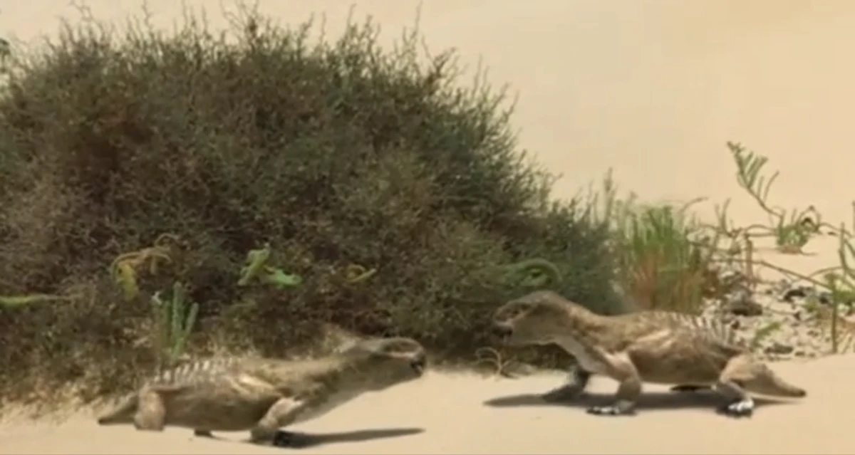 Diictodon | Dinosaur Alive Wiki | Fandom