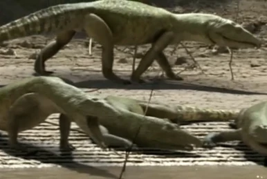 postosuchus max size