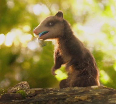 Alphadon | Dinosaur Alive Wiki | Fandom