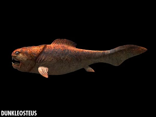 Dunkleosteus | Dinosaur Alive Wiki | Fandom