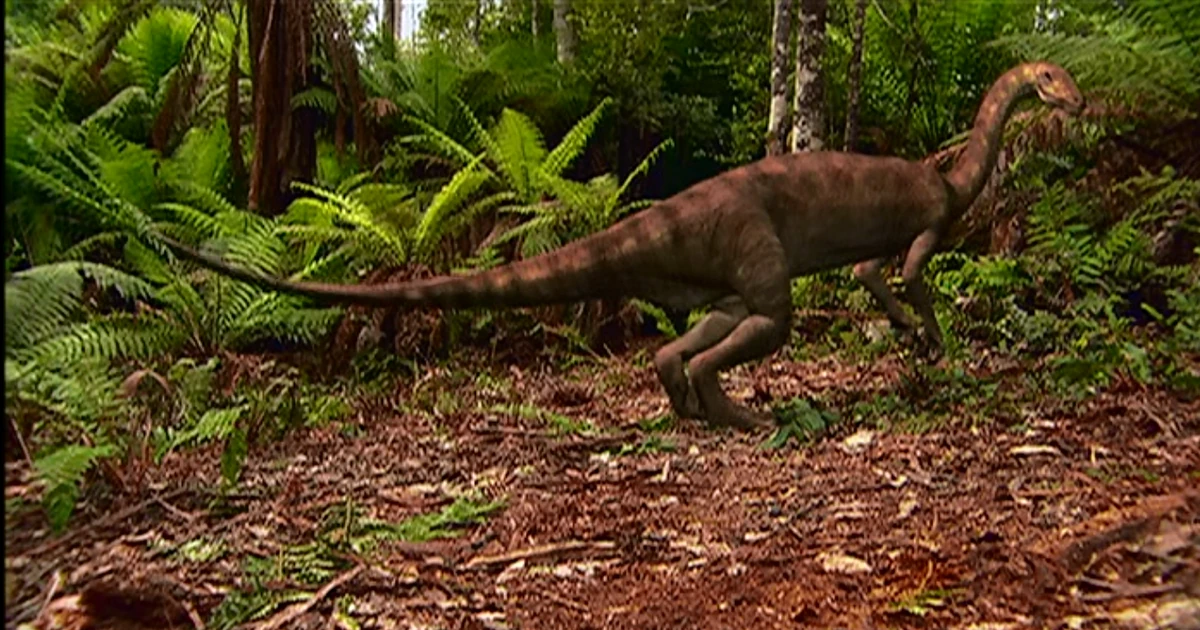 Anchisaurus | Dinosaur Alive Wiki | Fandom