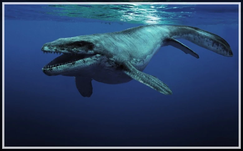 Prognathodon | Dinosaur Alive Wiki | Fandom