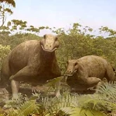 Moschops | Dinosaur Alive Wiki | Fandom