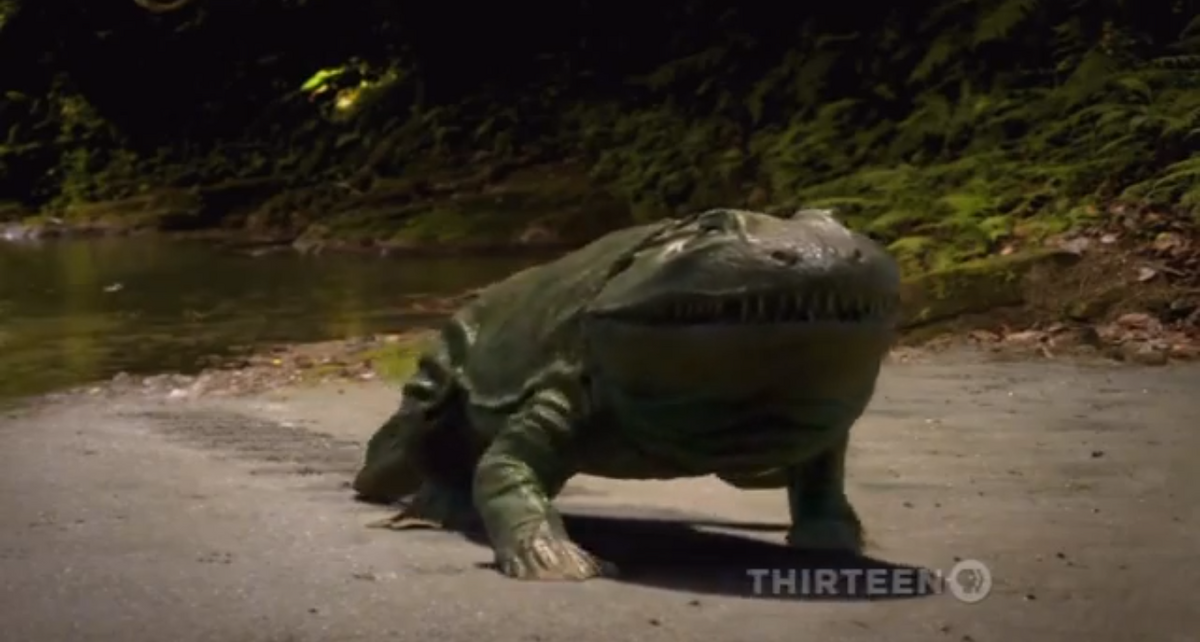 Acanthostega Dinosaur Alive Wiki Fandom