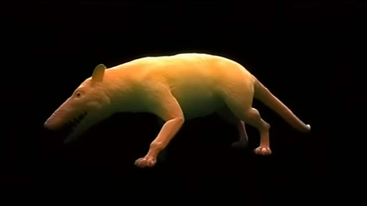 Pakicetus | Dinosaur Alive Wiki | Fandom