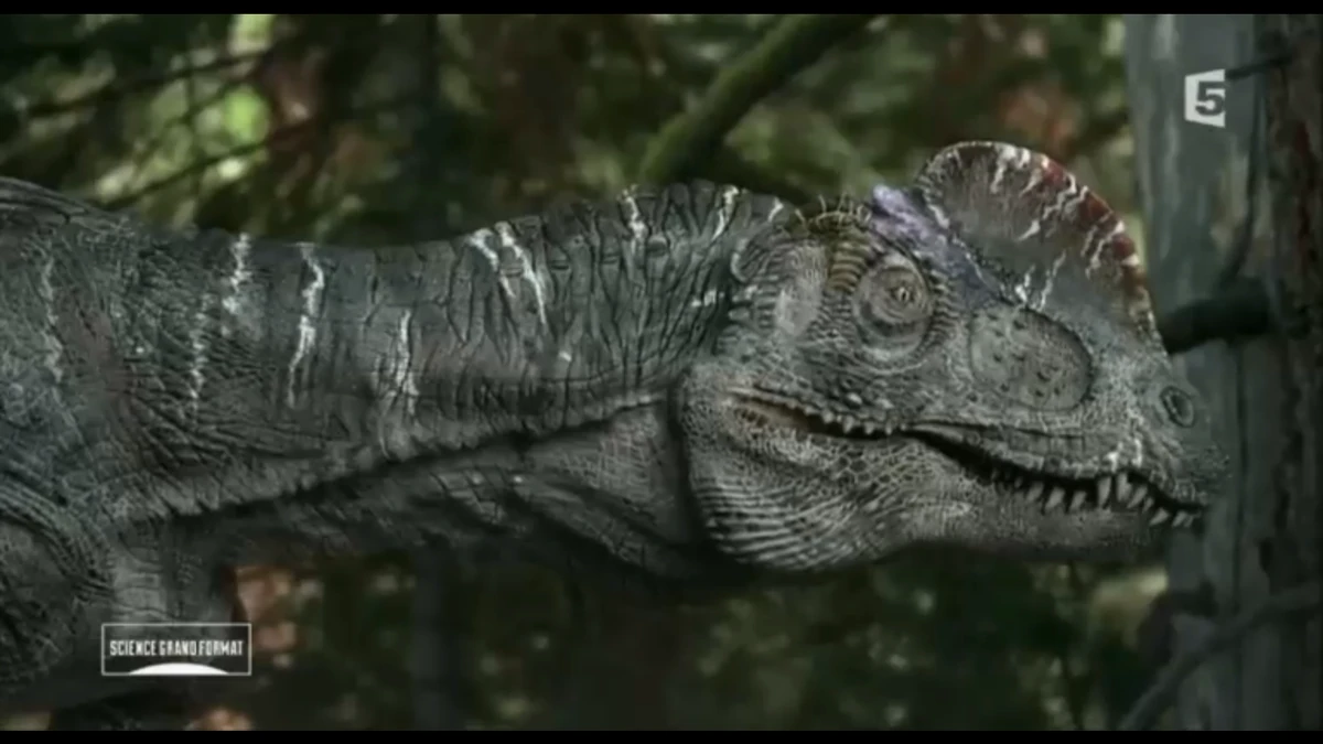 Sinosaurus | Dinosaur Alive Wiki | Fandom