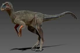 Santanaraptor | Wiki Dinosaures | Fandom