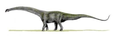 Bruhathkayosaurus | Wiki Dinosaures | Fandom