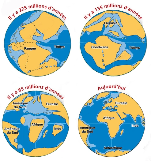 Pangée | Wiki Dinosaures | Fandom