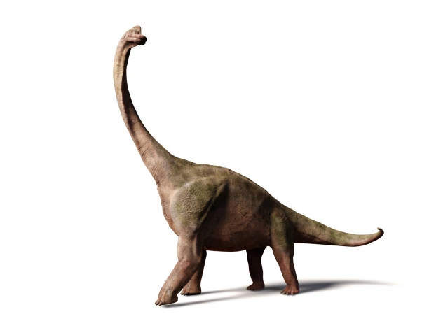 Brachiosaurus | Wiki Dinosaures | Fandom