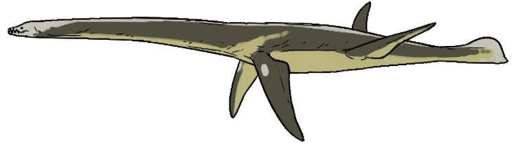 Plesiosaurus | Dinosaurian Database Wiki | Fandom