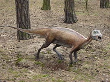 Atlascopcosaurus | Dino Wiki | Fandom