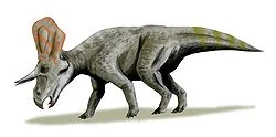Zuniceratops | Dino Wiki | Fandom