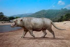 Andrewsarchus | Wiki Dinosaurios SIS4 | Fandom